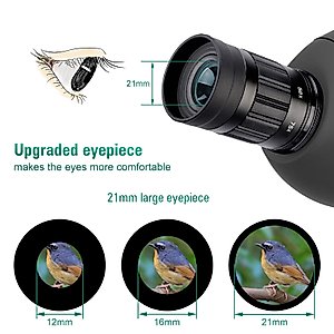 SVBONY SV28 25-75x70 Spotting Scopes with Tripod Bundle with SV146 Tabletop Spotting Scope Tripod for Bird Watching Target Shooting Hunting Wildlife