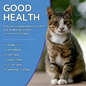 WEALLIN Hemp Oil for Dogs and Cats, Rich in Omega 3, 6, 9 and Organic Extract Helps Pets with Anxiety, Pain, Skin and Coat Health, Stress, Hip and Joint Support, Pet's Calming Treat (1 Pack)