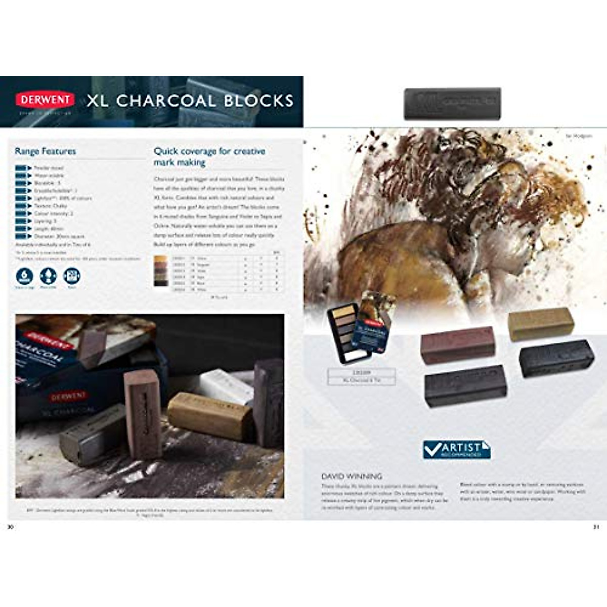 Derwent XL Charcoal Set of 6