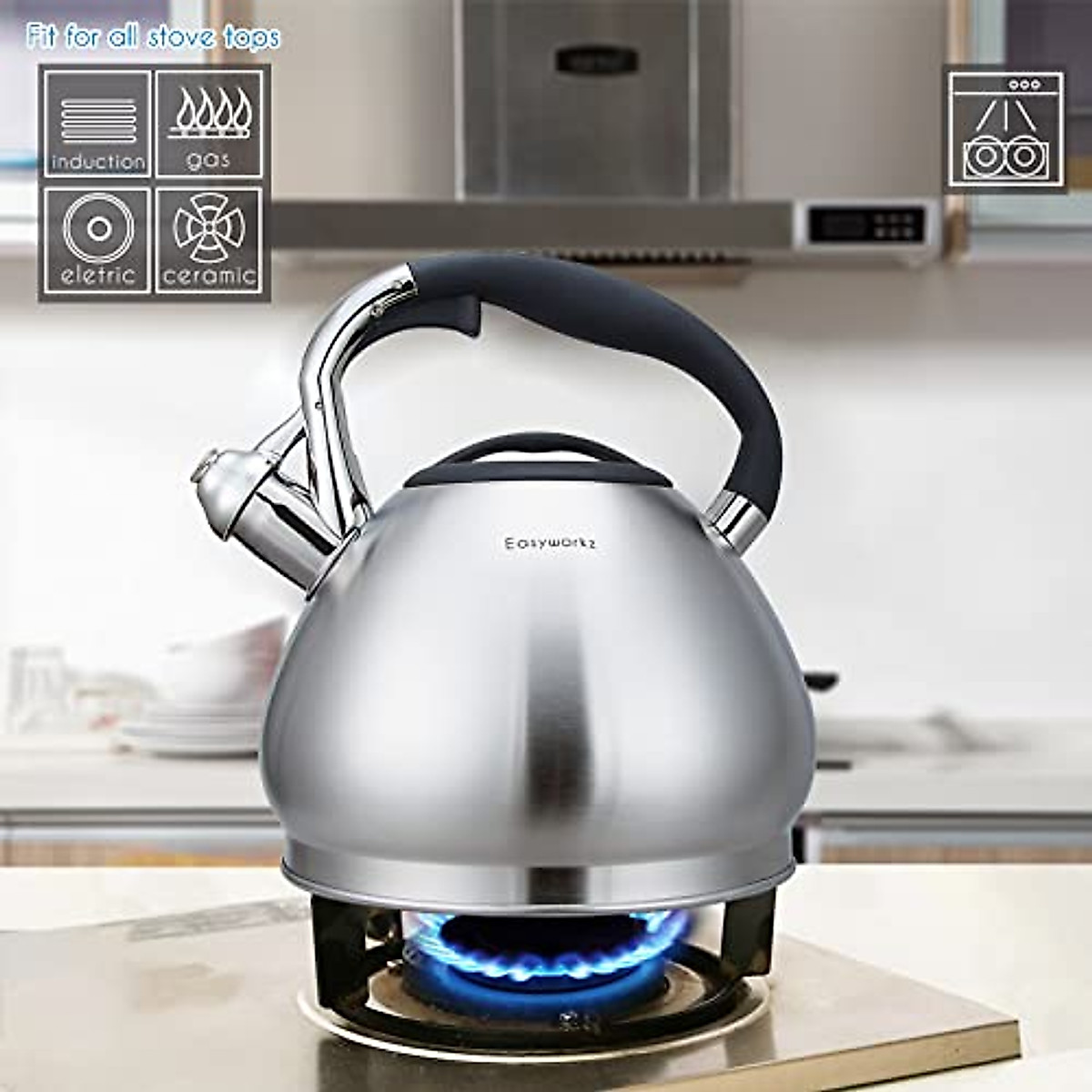 Easyworkz Whistling Stovetop Tea Kettle Food Grade Stainless Steel Hot Water Tea Pot With Loud Whistle,3.1 Quart(3.0l)