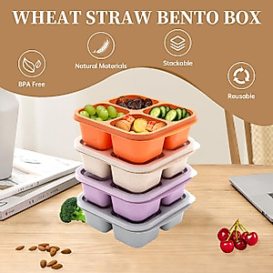 Luriseminger 7 Pack Bento Lunch Box ，4 Compartment Snack Containers，Divided Bento Snack Box，Meal Prep Lunch Containers, Lunch Box Kids/Toddle/Adults,Food Storage Containers for School, Work and Travel