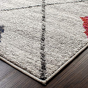 SUPERIOR Tavon Indoor Area Rug