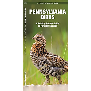 Pennsylvania Birds: A Folding Pocket Guide to Familiar Species (Nature Observation North America)
