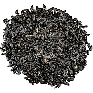 Bird Pro Black Oil Sunflower Seeds (4 lb.)