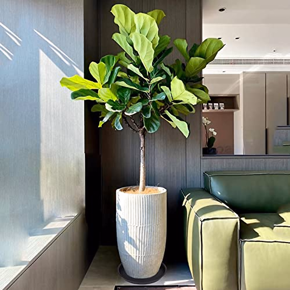 Bleuhome 4 Pack of 16 inch Plant Saucer (13.5" Base), Heavy Duty Plastic Plant Tray for Pots, Flower Water Trays for Indoors, Bird Bath Bowls, Plant Drip Saucers for Planter 14"/15"/16" (Black)