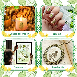 TimTin 84 Pieces Dried Pressed Leaves Dried Flowers Resin Dried Leaves Resin Mini Dried Flowers Crafts Dried Greenery Assorted Dried Leaves Art DIY Handmade Bookmarks 4 Bags (Vivid Style)