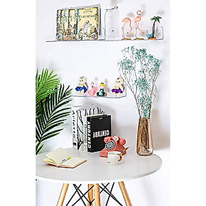 Sooyee 6 Pack 15 Inch Acrylic Storage Wall Shelf 1.73" Wide & 5" Wide