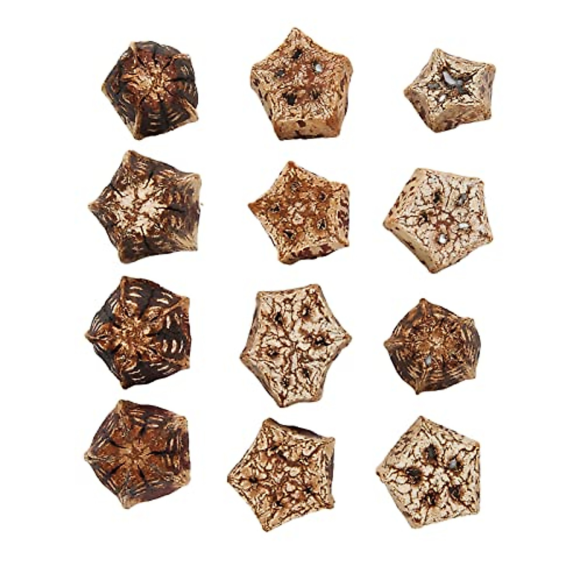 Zerodis 60 Pcs Bird Toys, Parrot Chew Nuts Toys for Bird Beak Cockatiel Budgies Parakeets Lovebird Toys Dried Nuts for Boredom Relief