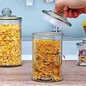 COMUDOT Glass Cookie Jar,Glass Canisters Set of 5,Glass Jars,Airtight Glass Storage Candy Jar with Lids,Glass Organization Canisters for Home & Kitchen