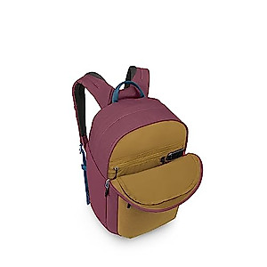 Osprey Arcane XL Day Everyday Backpack, Allium Red/Brindle Brown, One Size