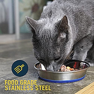 Our Pets DuraPet Stainless Steel Non-Slip (Cat Food Bowl or Water Bowl) [Holds up to 1 Cup of Dry Cat Food or Wet Cat Food] Easy to Clean (Stainless Steel , 1 Cup)