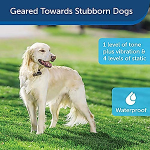 PetSafe Stubborn Dog Receiver Collar, In-Ground Fence Collar, Waterproof, with Tone, Vibration and Static Correction for dogs 8lb and Up - Not Compatible with YardMax and UltraSmart