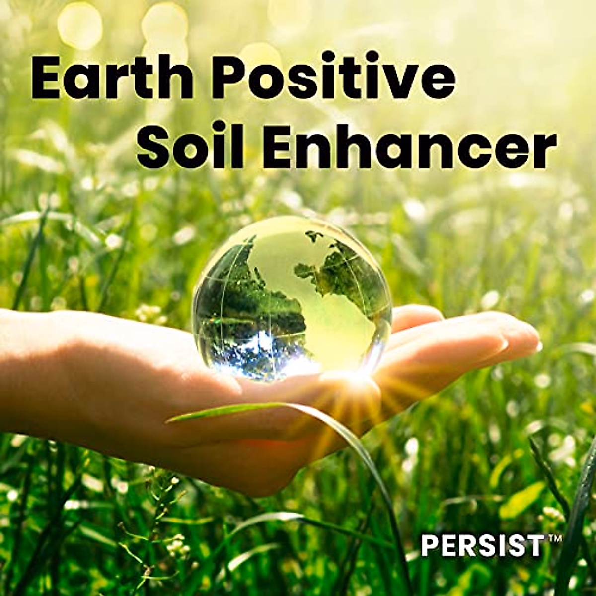 Persist Horticultural Charcoal, Biochar Soil Amendment for Indoor Plants, Improves Potting Soil for Indoor Plants & Terrariums, 100% Natural Active Carbon Organic House Plant Soil Enchancer 3qt Bag