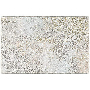 Brumlow MILLS Cordelia Antique Distressed Print Washable Indoor/Outdoor Area Rug for Living or Dining Room, Bedroom Carpet Rug and Kitchen Rugs, 30" x 46", Neutral