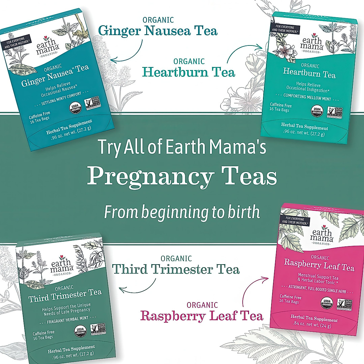 Earth Mama Organic Raspberry Leaf Tea Bags |Labor Tonic + Menstrual Support, 16 Teabags Per Box (3-Pack)