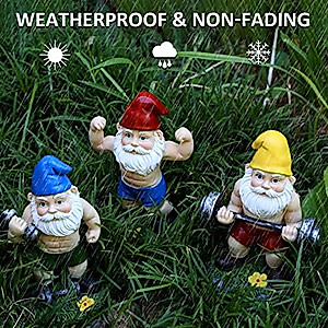 Mrsivrop Funny Workout Garden Gnomes Statues 3pcs 6.2 Inches Outdoor Funny The Muscular, Barbell and Dumbbell Gnomes Decorations Set for Yard, Lawn, Patio, Indoor Gnome Figurine for Home Tabletop