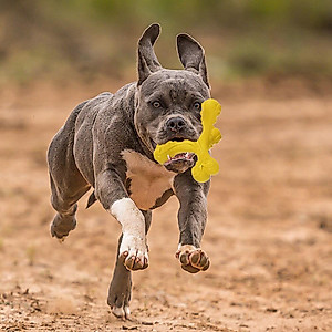 CVALIN Dog Chew Toys for Aggressive Chewers Large Breed,Indestructible Bones Toy，Durable Cleaning Toothbrush Natural Rubber Dog Toys… (Yellow)