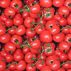 Mook Fabrics Fruits-Vegetables Fabric [45 in. Wide] – 100% Combed Cotton Material for Quilting, Home Decor Accents | Arts, Crafts & Sewing, Vine Tomatoes Cut by The Yard