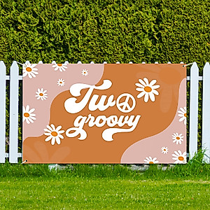 DARUNAXY Two Groovy Retro Hippie Boho Banner, 2nd Birthday Party Decoration 2 Year Old Birthday Party Supplies, Daisy Flower Groovy Backdrop for Baby Girls Hippie Theme Birthday Photography Background