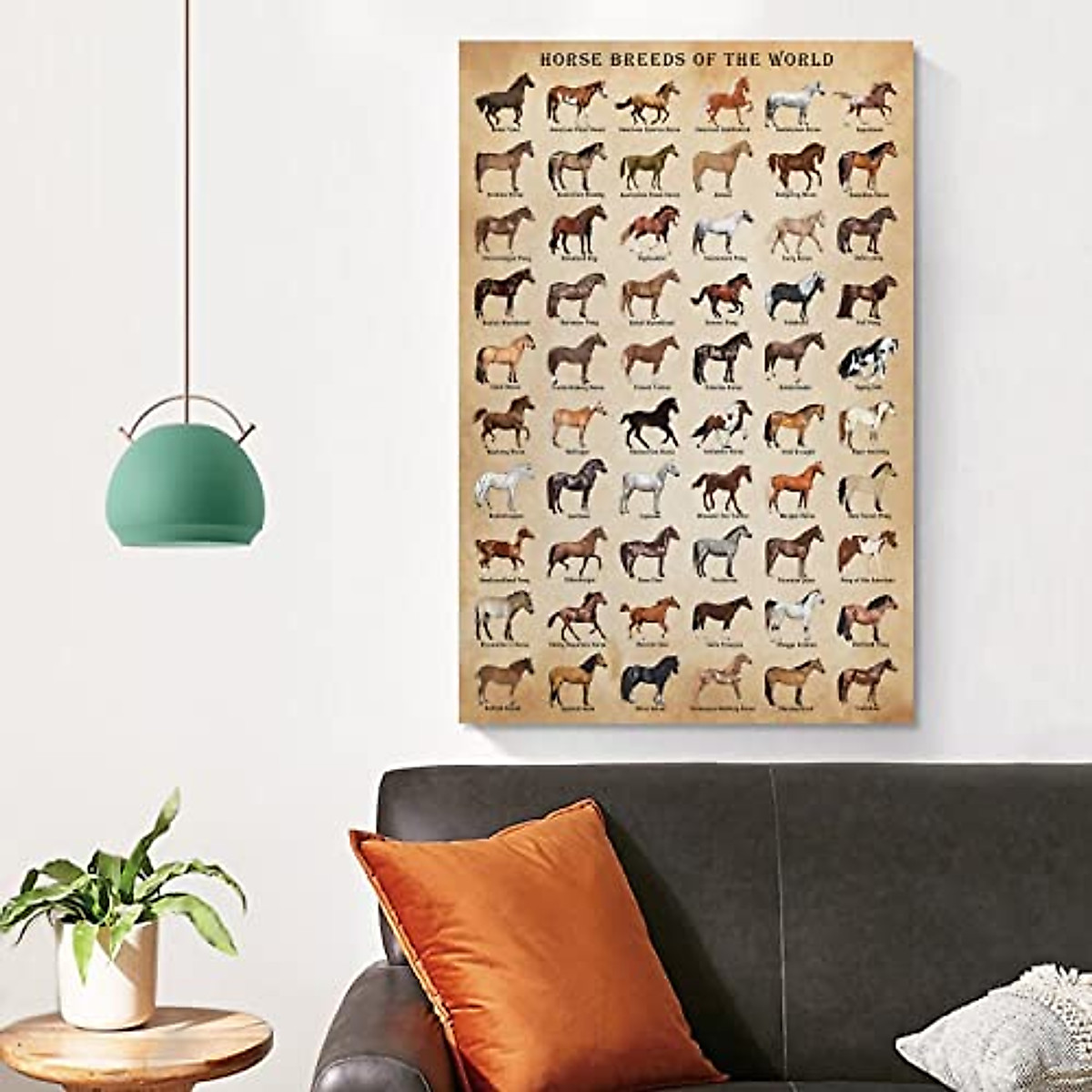 Horse Knowledge Horse Breeds of The World Poster Framed 12x16inch