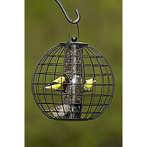 Gardeners Supply Company Globe Cage Bird Feeder | Sturdy and Squirrel Proof Outdoor Garden Hanging Hummingbird Feeder with Mixed Seeds Container | Best for Finches Nuthatches and Other Small Birds