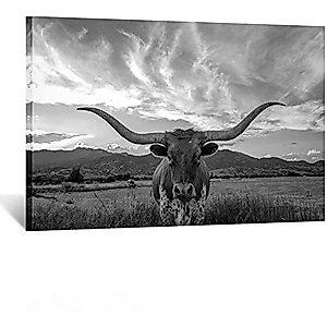 Kreative Arts Black and White Animal Canvas Wall Art Highland Cattle with Long Horns Picture Texas Longhorn in Sunset Farm Painting for Home Decor Modern Living Room Decorations Ready to Hang 24x36in
