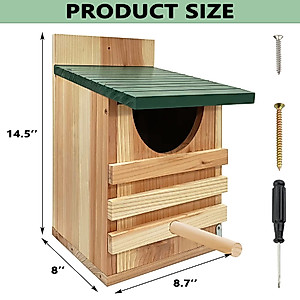 Prolee Screech Owl House Hand Made, 100% Cedar Wood Owl Box with Mounting Screws and A Bag of Wood Shavings, Easy Assembly Required (with Bird Stand)