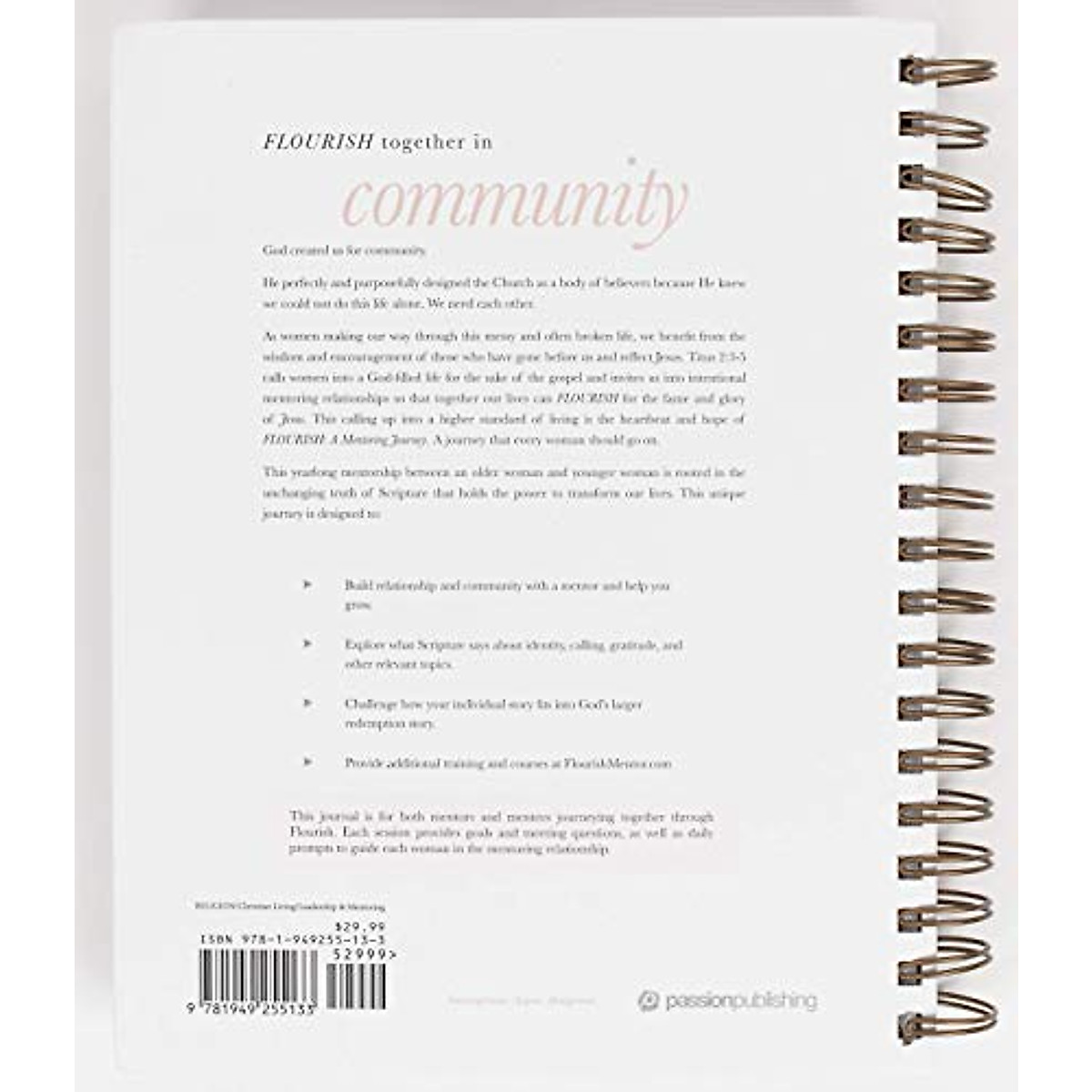 Flourish: A Mentoring Journey - Year One