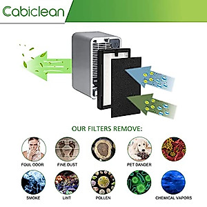 FLT4100 True HEPA Replacement Filter Size E for Guardian Technologies model AC4100 AC4100CA AC4150BL AC4150PCA AC4150P, 3 x Hepa Filter + 9 x Activated Carbon Pre-Filter