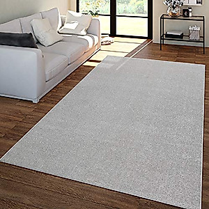 Paco Home Solid Area Rug in Silver Modern Plain Design, Size: 5'3" x 7'3"