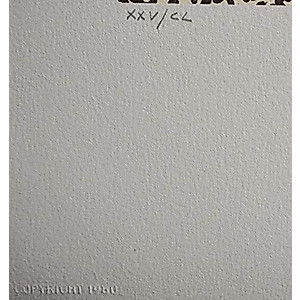 The Bullfighter (Golden Calf)