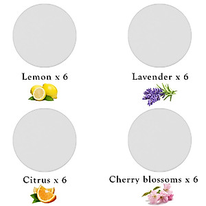 Maitys 24 Pieces Replacement Steam Mop Scent Disc 4 Different Fragrance Discs (Fresh Fragrances)