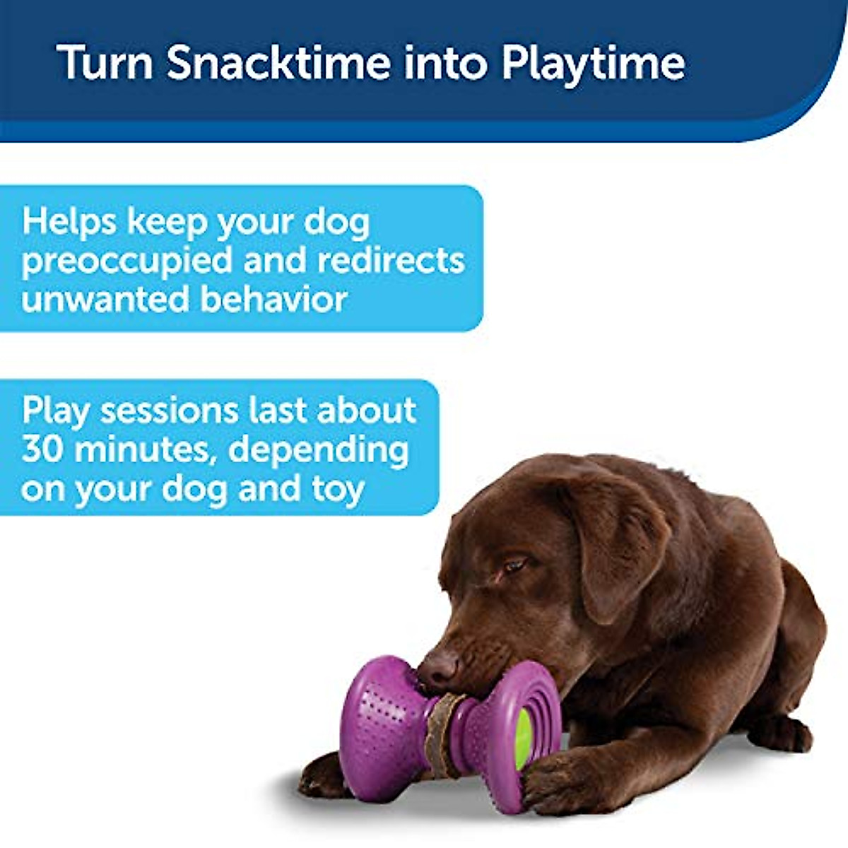 PetSafe Ultra-Thick Natural Rawhide Dog Treats for Busy Buddy Ultra Dog Toys – 6 Rings Included – Large, BB-ULT-RING-RH-F