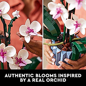 LEGO Icons Orchid 10311 Artificial Plant Building Set with Flowers, Home Décor Gift for Adults, Botanical Collection, Great Gift for Birthday and Anniversary for Her and Him