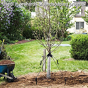 31pcs Tree Stake Kits,15pcs Black Tree Stakes+15pcs Tree Straps+157.48 in Strong Rope Young Trees Anchoring Kits Protect Against Wind,for Sapling Straight Up Outdoor Garden Yard Plant Fix Stump Kit