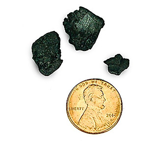 Sprig & Stone Horticultural Charcoal (4 Quarts)