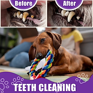 GHOBROFY Dog Rope Toys for Aggressive Chewers, Tough Dog Chew Toys for Medium Large Dog Breeds, Dog Grinding Teeth Chew Toys, Interactive Cotton Tug of War Dog Toy, Dark Color