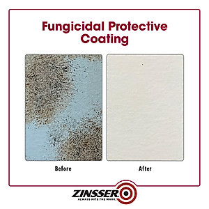 Rust-Oleum Zinsser 276087 Mold Killing Primer, Quart, White