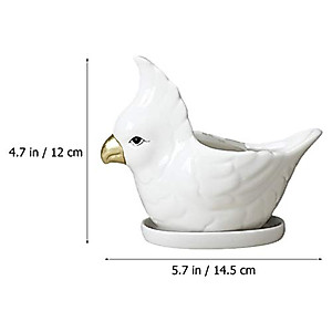 Homoyoyo Parrot Planter Pot Ceramic Flower Pot for Bonsai Mini Parrot Shape Succulent Planter with Saucer for Suculent Cactus Flower Pot Holder Bird Figurine for Desk Decoration White