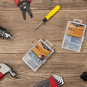 KURUI Hanging Nails and Wood Screws Assorted Kit 256PCS, 110 Philips Flat Head Screws and 146 Picture Hanging Nails, 6 Sizes Small Nails and Small Screws Assortment with Organizer Box