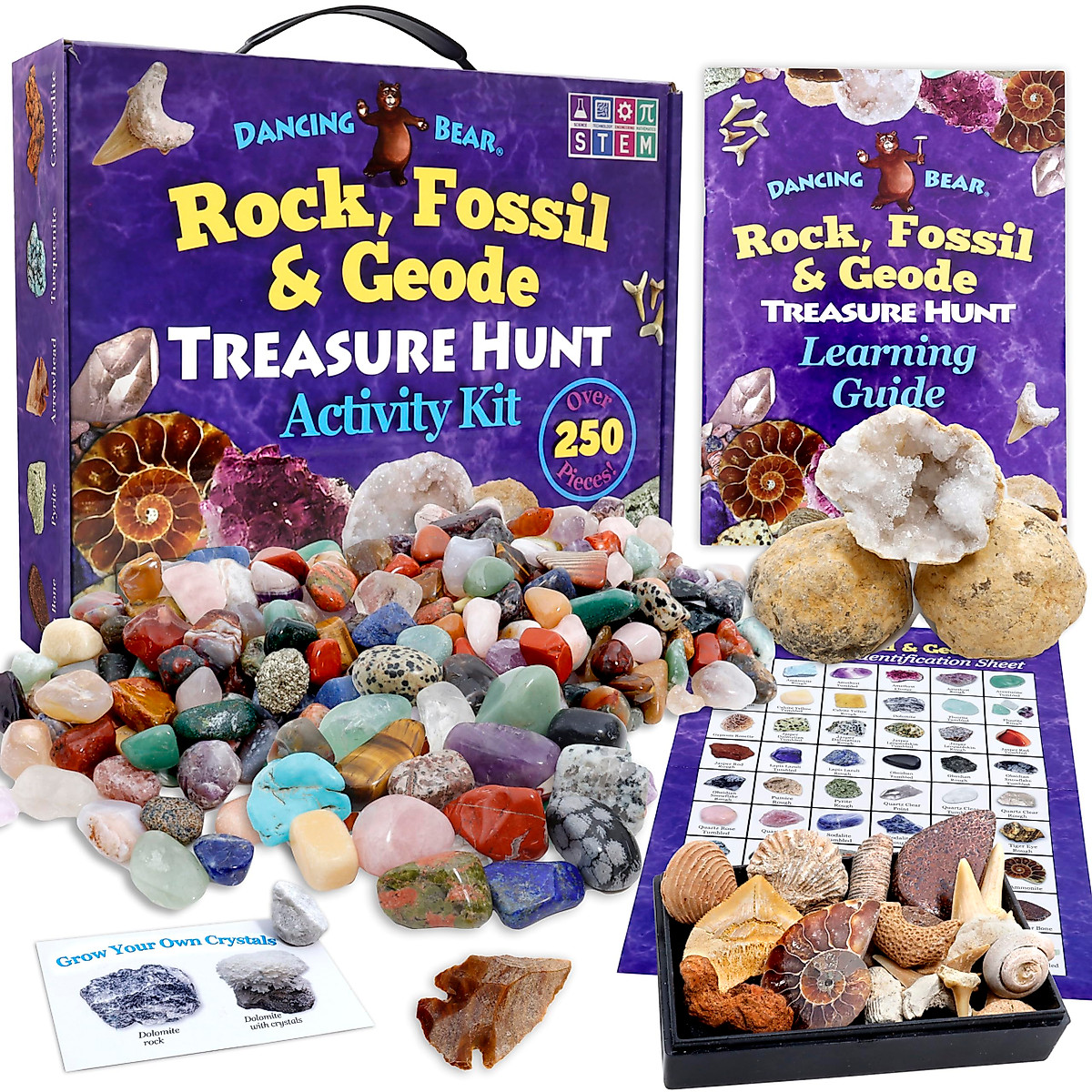 DANCING BEAR Rock, Mineral & Geodes Treasure Hunt Activity Kit (250 Pc Set) Real Shark Teeth Fossils, ID Sheet & Rock Book, STEM