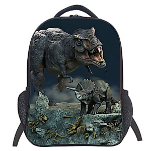 Dinosaur School Bag Rucksack Backpack (Dinosaur 5 14 Inch)