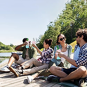 Fanfeigo Slim Can Cooler for Skinny Beer Beverage Stainless Steel Double Wall Vacuum Insulated Drink Holder for 12 oz Regular or Slim Cans & Bottles Cooler (Shiny Pink-Blue)