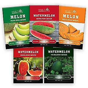 Fruit Seeds, Watermelon Seeds, Melon Seeds, Fruit Seeds for Planting, Sweet Watermelon Seeds for Planting, Cantaloupe Seeds, Sugar Baby, Black Diamond, Charleston Grey, Hales Best, Green Honeydew
