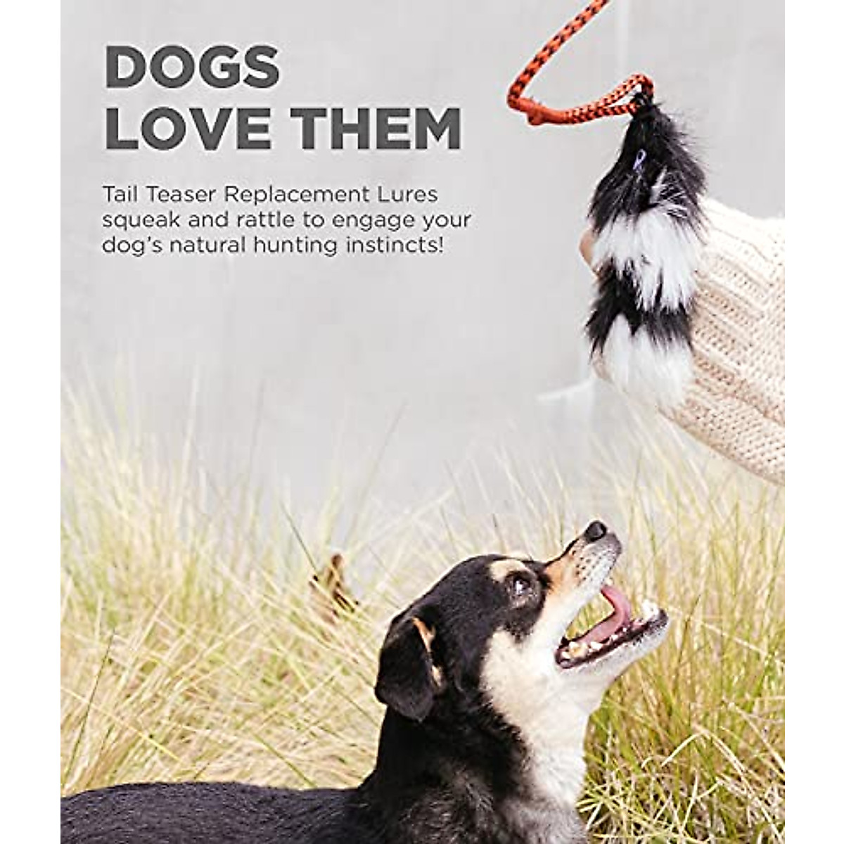 Outward Hound Tail Teaser Replacement Lure for Dog Teaser Wand, Fox