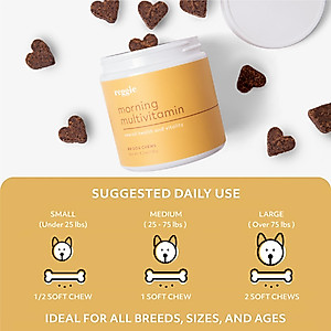 Reggie Morning Multivitamins for Dogs | Advanced Daily Immunity Booster for Heart, Joint, Skin, and Gut Health | Made in The USA, Vet-Approved, & Ideal for All Ages, Breeds, and Sizes - 60 Soft Chews