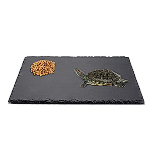 Filhome Reptile Basking Platform, Tortoise Habitat Rock Plate Slate Natural Rock Reptile Food Bowl Landscape Habitat Decor for Turtle Lizard Bearded Dragon Crested Gecko Snake(30 * 20cm)