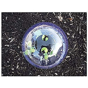 KiaoTime Pack of 10 Reuseable 10" Plastic Greenhouse Garden Bell Cover Germination Cover Frost Guard Freeze Protection Dome with Bonus 30 Metal Stakes+10 Tags