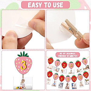 Strawberry First Birthday Party Decoration Berry 1st Monthly Photo Banner Milestone Photograph Bunting Garland for Baby Girl 12 Months Photo Display Baby Shower Birthday Party Decorations Supplies