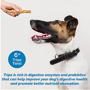 Beef Tripe Sticks for Dogs (6" - 25 Count) All Natural Dog Treats from Free Range, Grass Fed Beef Dog Chews Safe & Easily Digestible – Lasting Twist Sticks - Great for Puppies & Senior Dogs